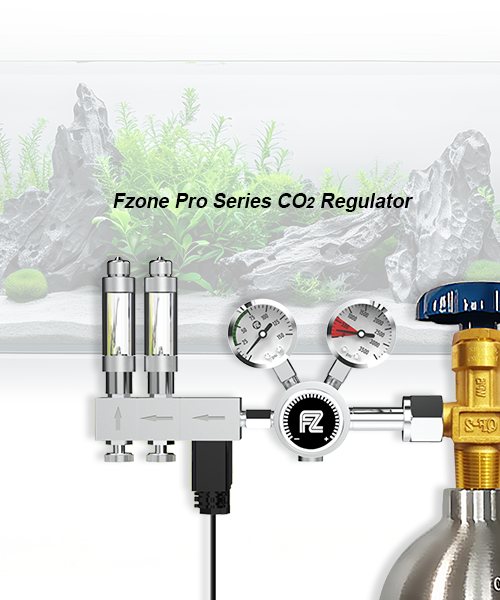 Unveiling the Secrets of CO2 Systems: How to Bring Your Planted Tank t ...