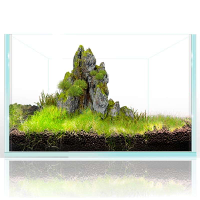 Water Quality Management in Your Aquarium: The Key to Healthy Fish ...