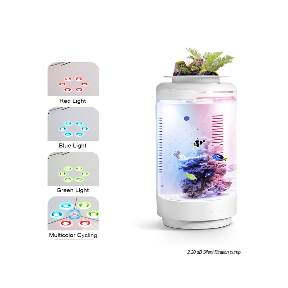 All-in-one 1.2Gal Desktop Aquarium Kit – Fzone Studio