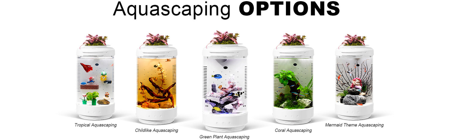 All-in-one 1.2Gal Desktop Aquarium Kit – Fzone Studio